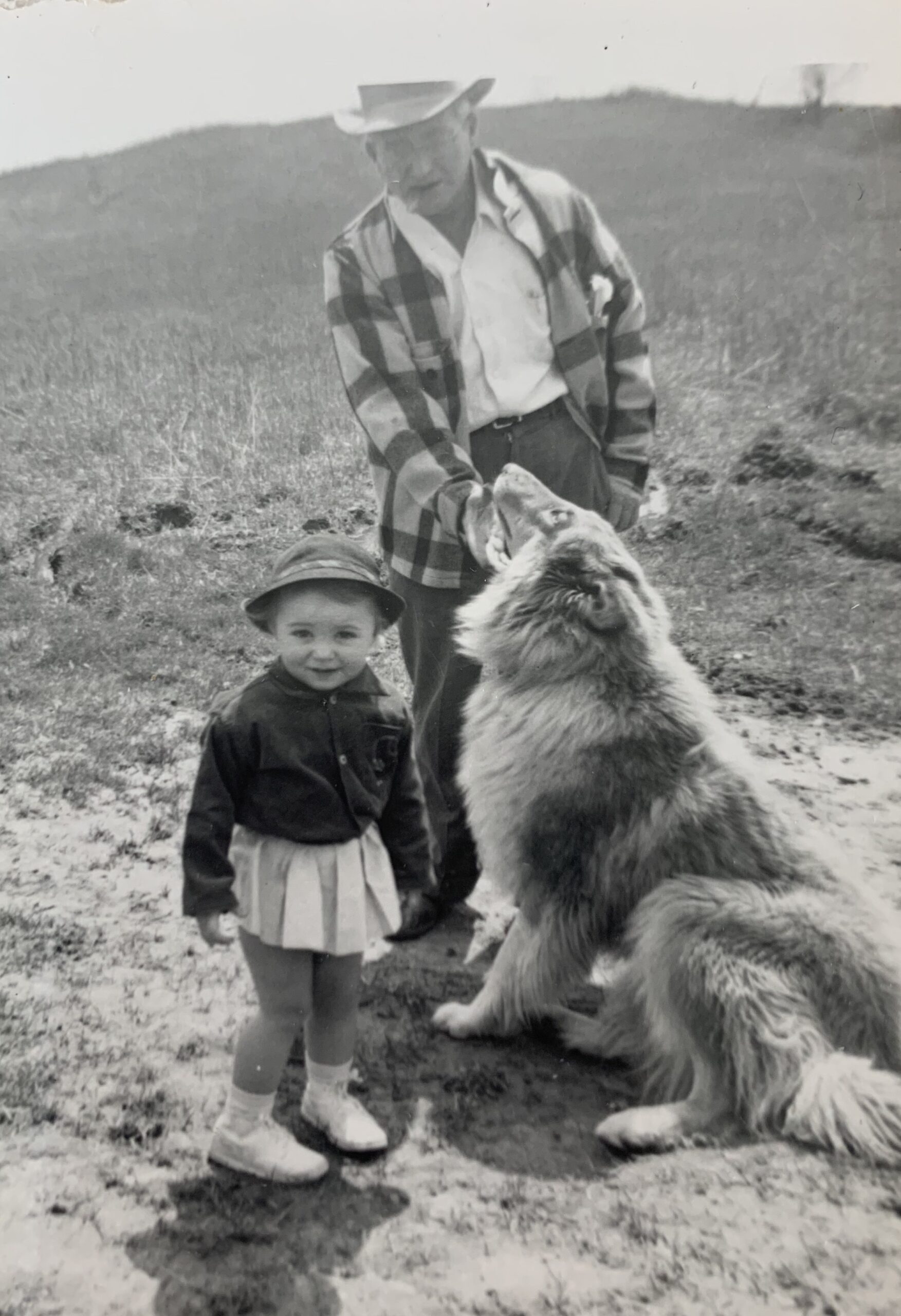 Adopted and Foster Pets Bring Comfort and Companionship During Time of ...