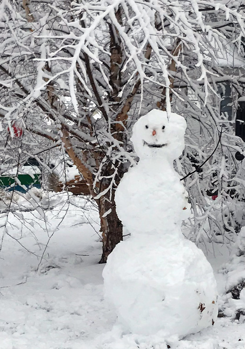 Real Snow Inspires Snow Creatures in East Lansing – East Lansing Info